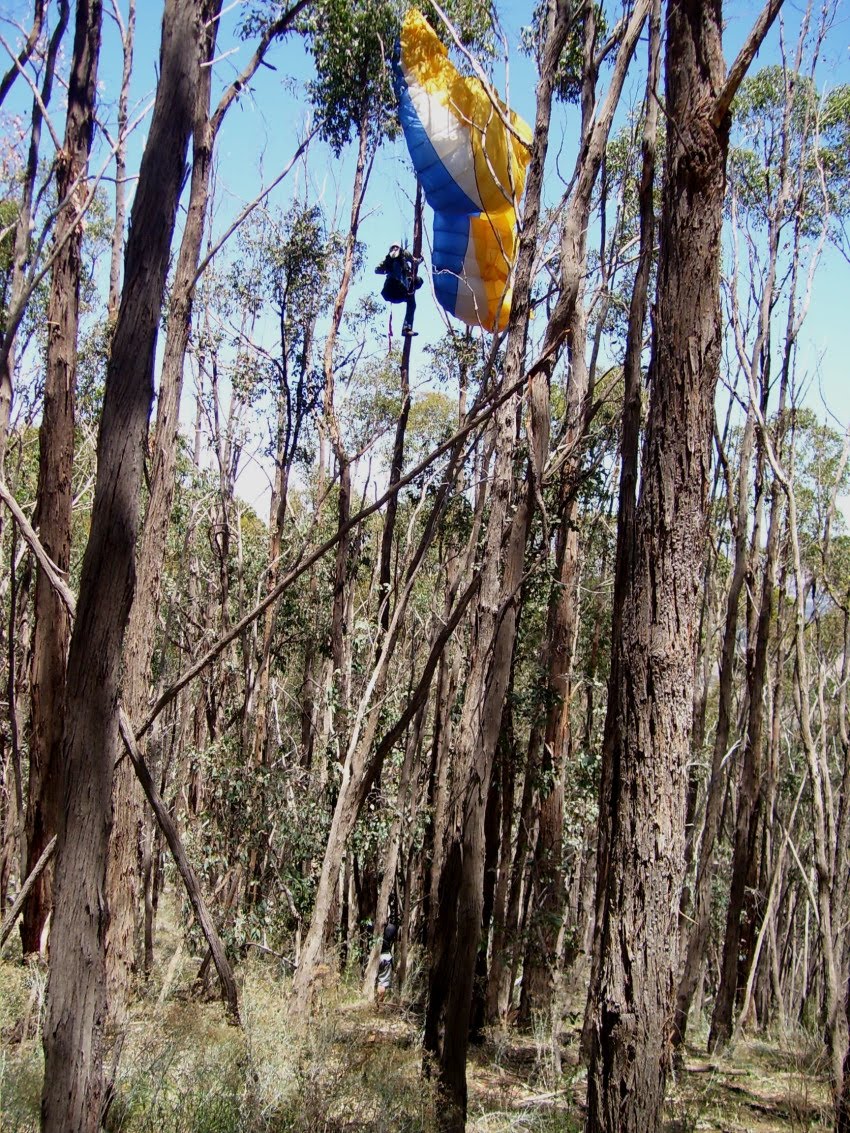 Timo's Paragliding Blog: June 2010