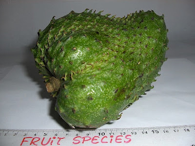 Fruit Species: SOURSOP