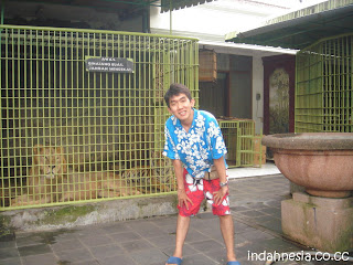 The Titiles at Denpasar, Pusatnya Dendeng, Abon dan Sosis Babi Yang ...