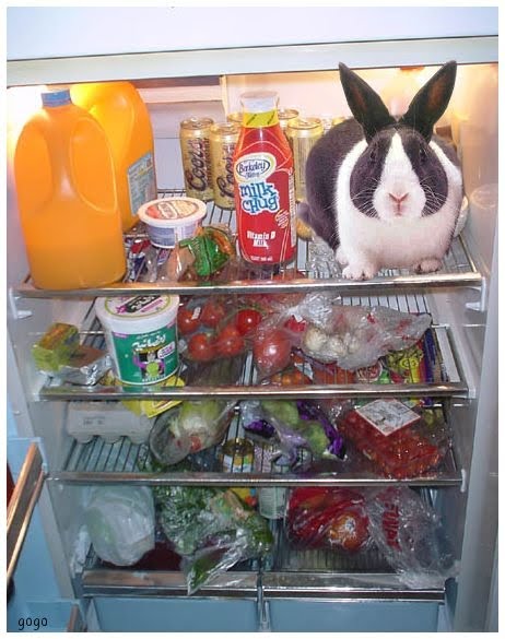 Old Glory Cottage: What Would You Do?