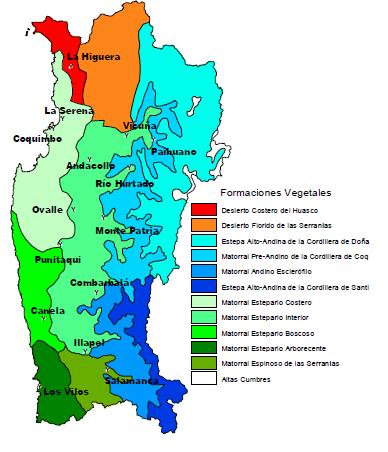Especies Nativas en la Region de Coquimbo: Diversidad Vegetal de la IV ...