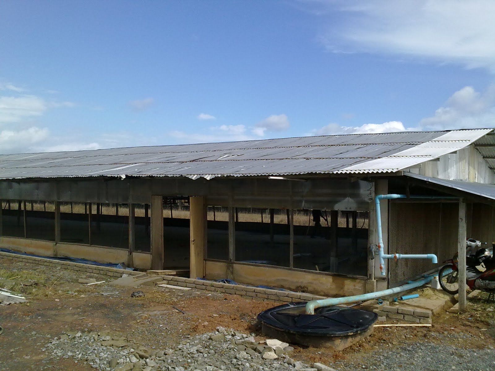 Sewa Reban Ayam Daging Sistem Tertutup | Maria Firdaus