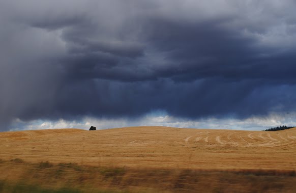 Katie's Meanderings: Northern Idaho and the Palouse in Washington State