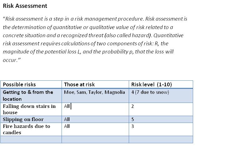 TaylorMedia AS: Risk Assessment