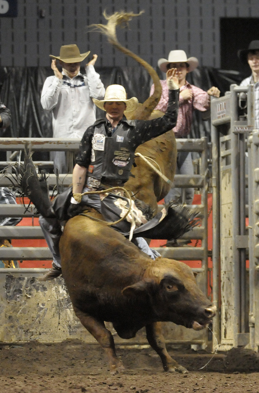 Darren Breen's photo blog: Bull Riding
