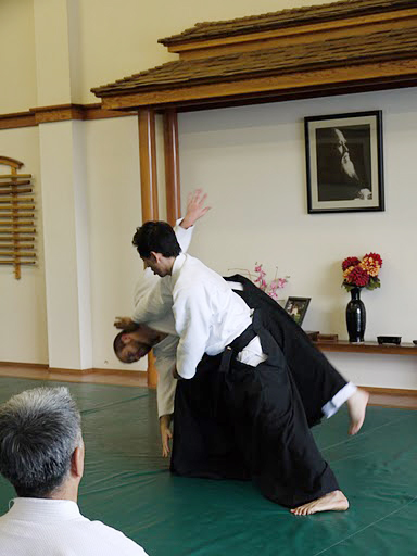 Life of Yoshi: Western Region Aikido Camp: Toyoda Sensei