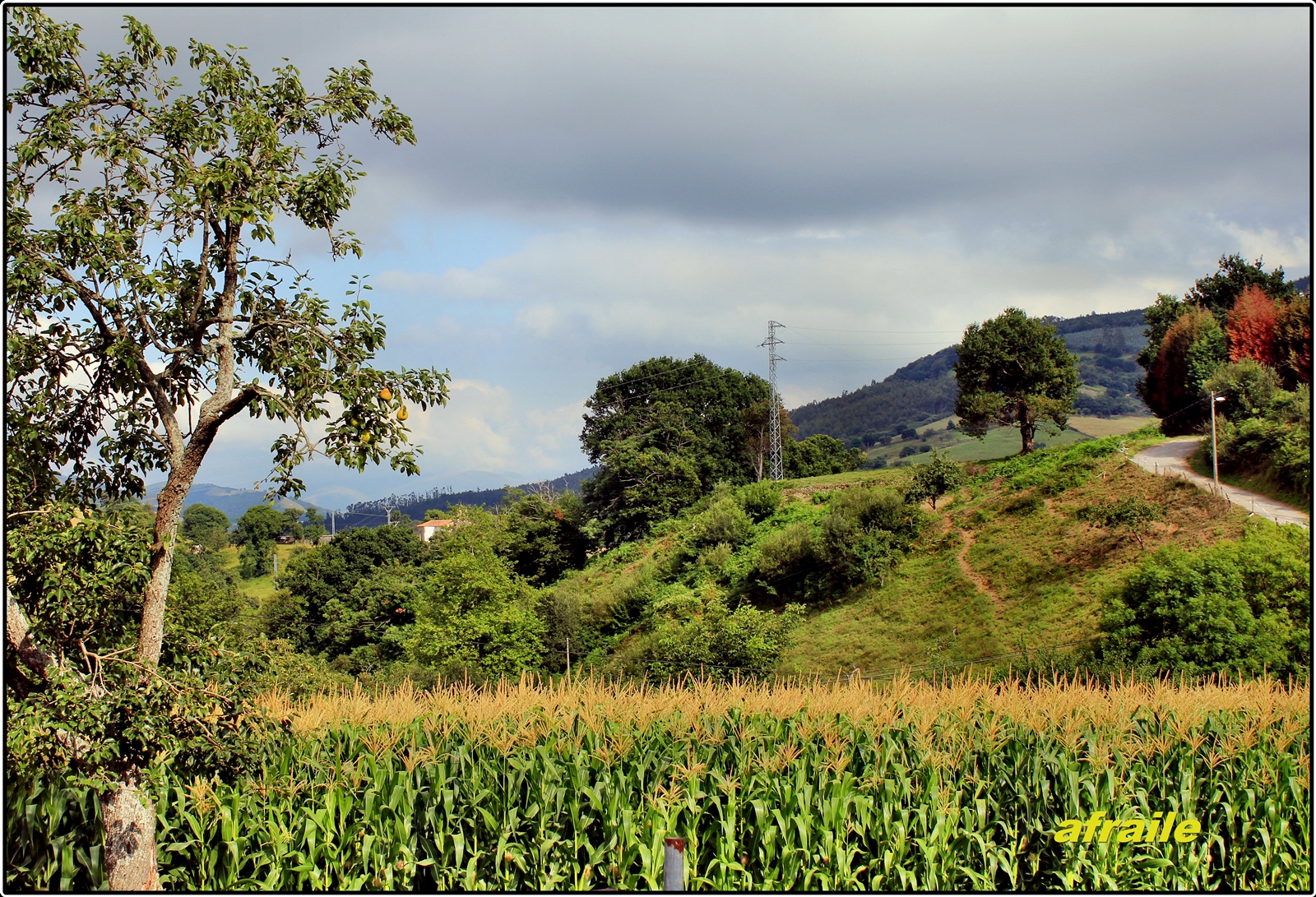 Foto afraile: Cohiño (Puente Viesgo).