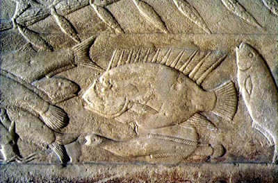 LOS PECES EN EL ANTIGUO EGIPTO :'''NO LO SE!!!... ¿O SI?