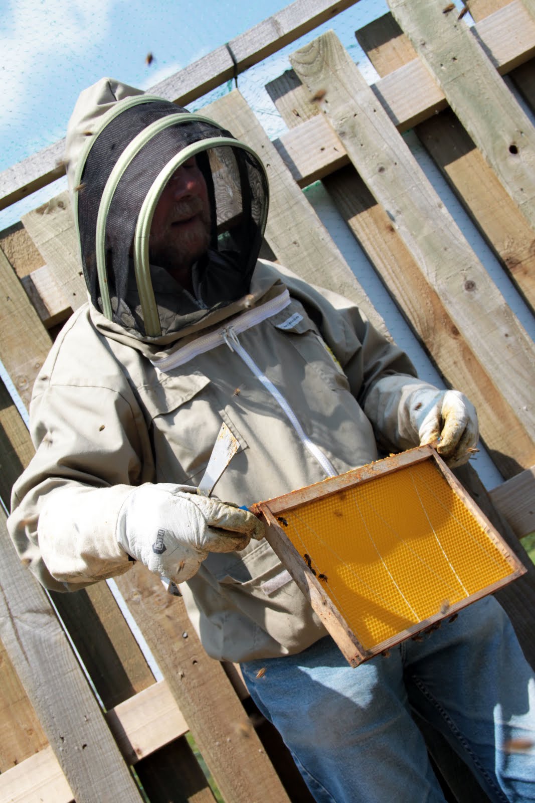 What Is Good?: Mr Bee man Brian Latham Visit - Horsforth