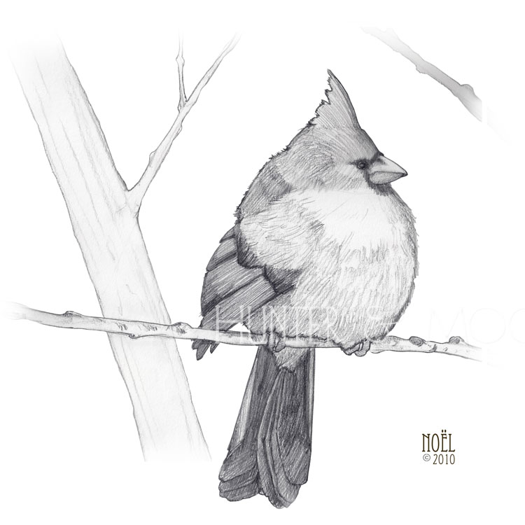 Hunter and Moon: Cardinal Sketch
