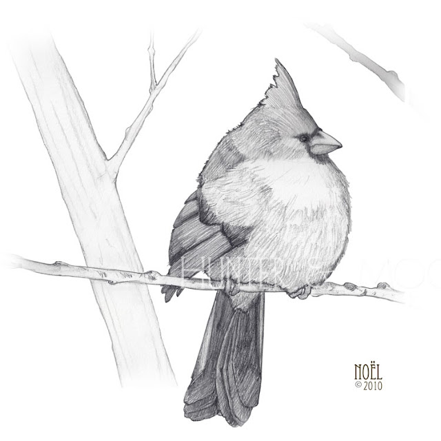 Hunter and Moon: Cardinal Sketch
