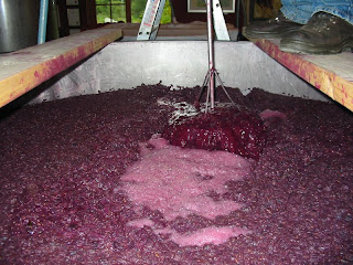 Process of Wine Making: Crushing and primary fermentation