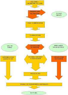 Process of Wine Making: Filtration