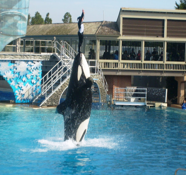 On The High Road: San Diego ~ Seaworld