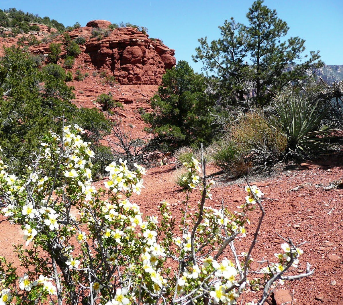 On The High Road: The Stunning Red Rock Formations