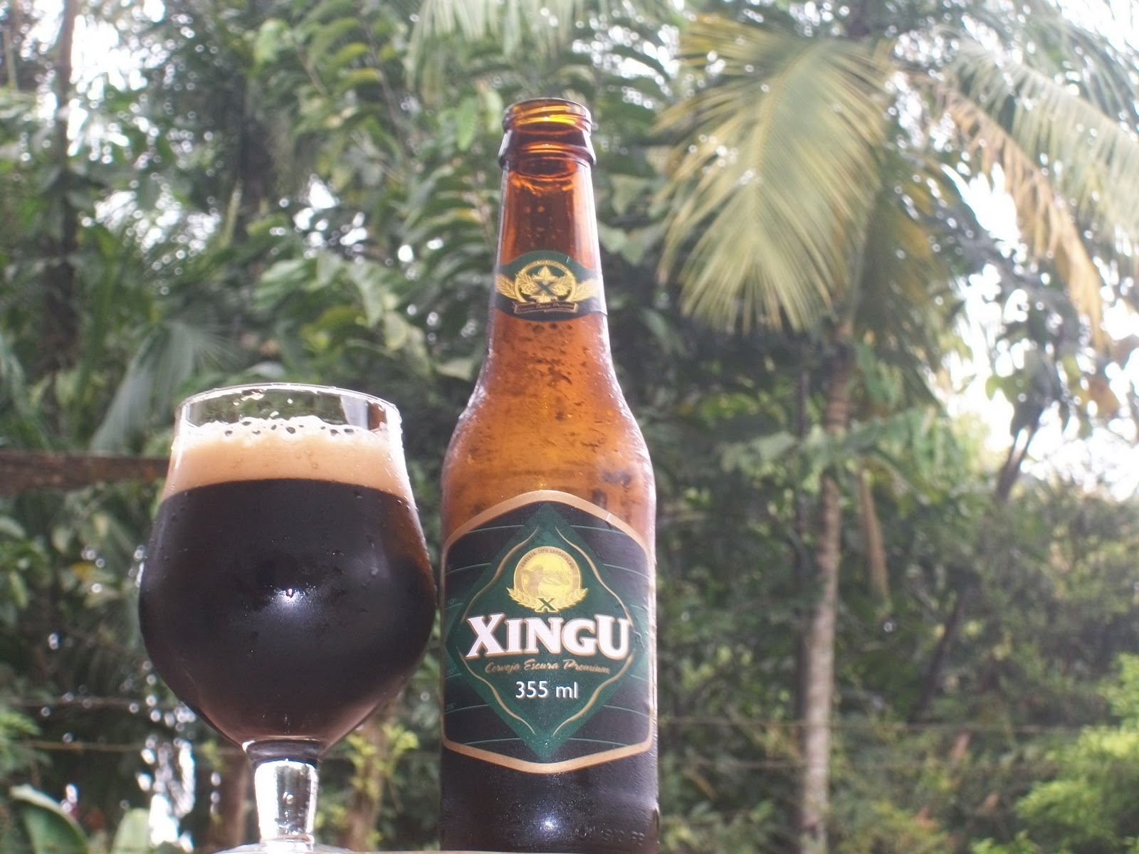 Xingu - JungleKey.fr Image #50