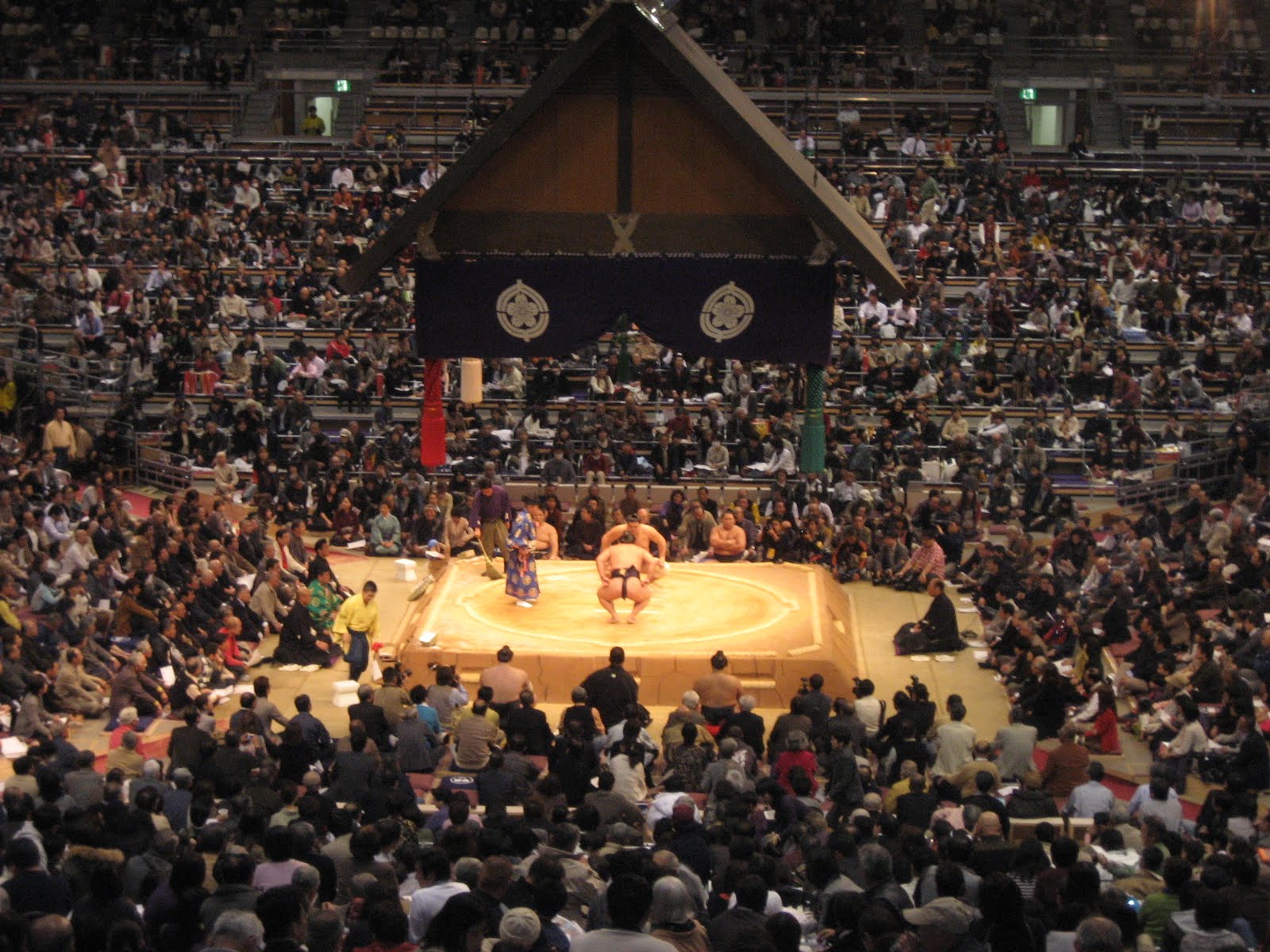 Yoshi's Bento Bits: sumo + onsen = pure joy :)