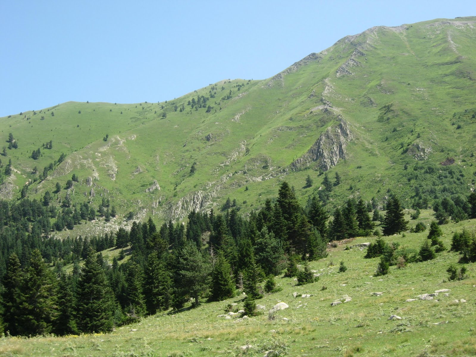 KALACOŞ: VELAT YAYLASI (Fotoğraflar)