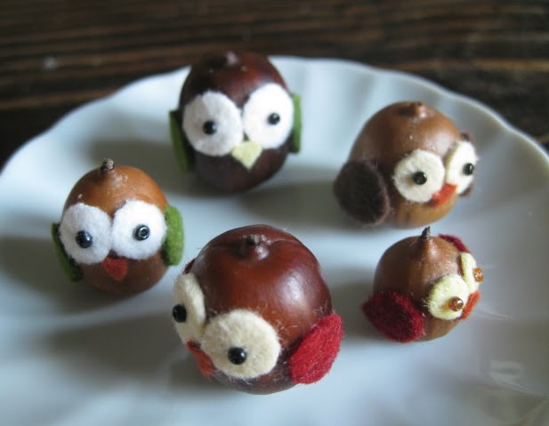 purple petunia: What to do with an acorn? Owls!