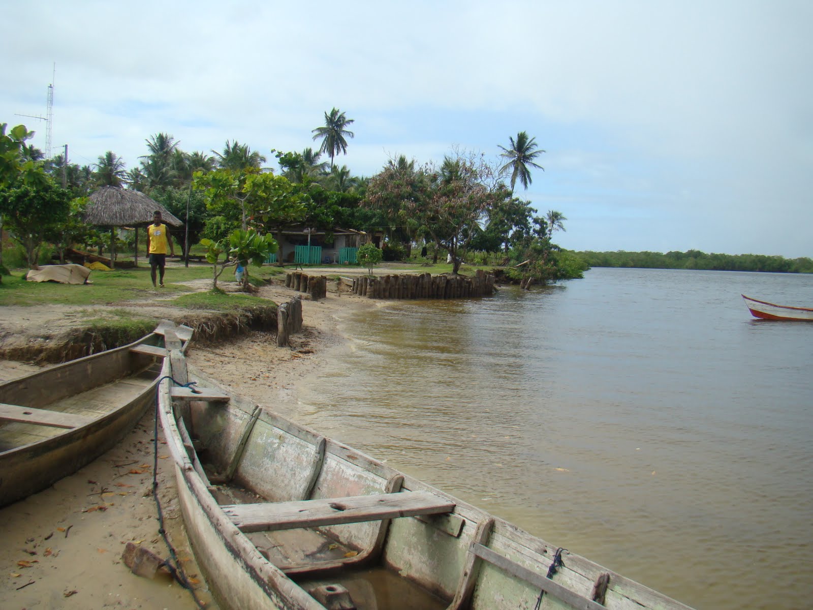 Projeto Mem de Sá: novembro 2009