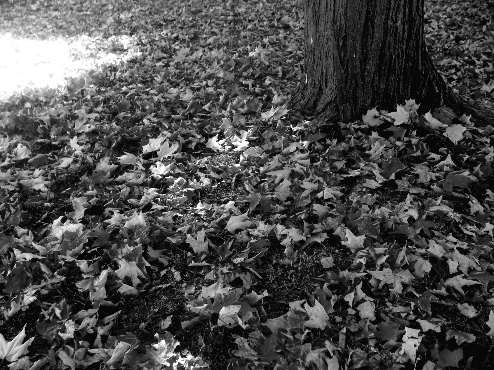 Linda Lee Photography: A Moment In Time: Homage: Minor White