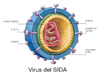 Dia mundial de la sida: Dia mundial de la SIDA