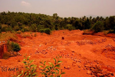 Windy Skies: Goan Laterite, Red and Rough