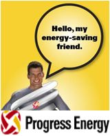 Pinellas County Extension Thinking Green: Energy-saving home design and ...