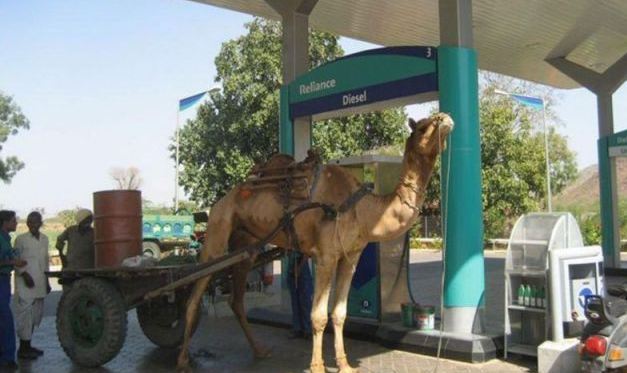Fun Duniya: Fun and Cool Photos - Only in India