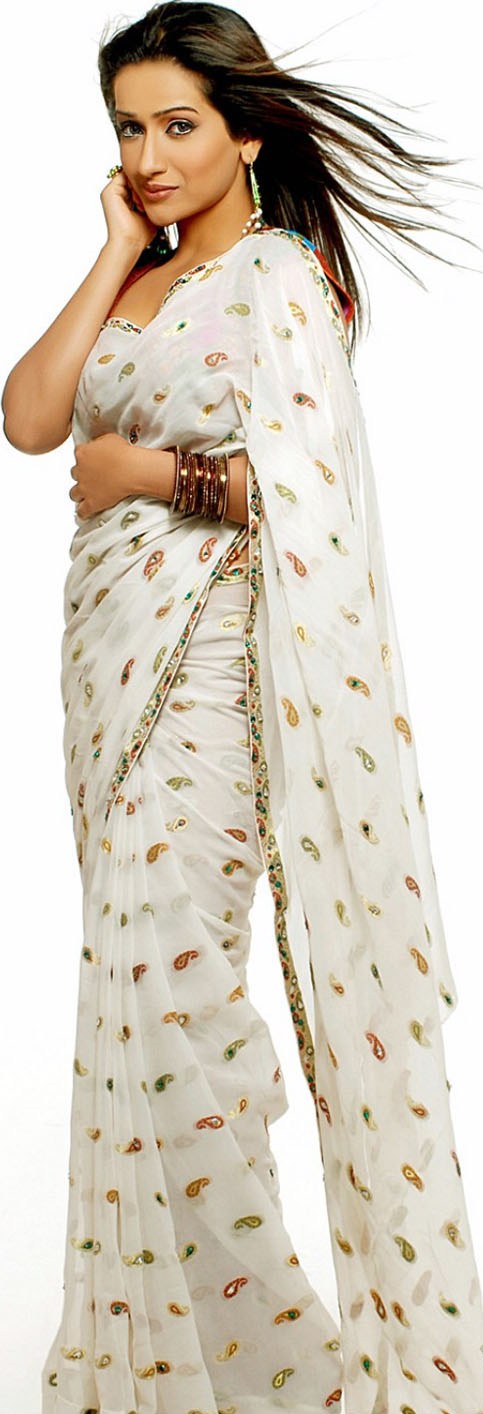 Devna Pani in Cool Saree ~ Hot and Spicy