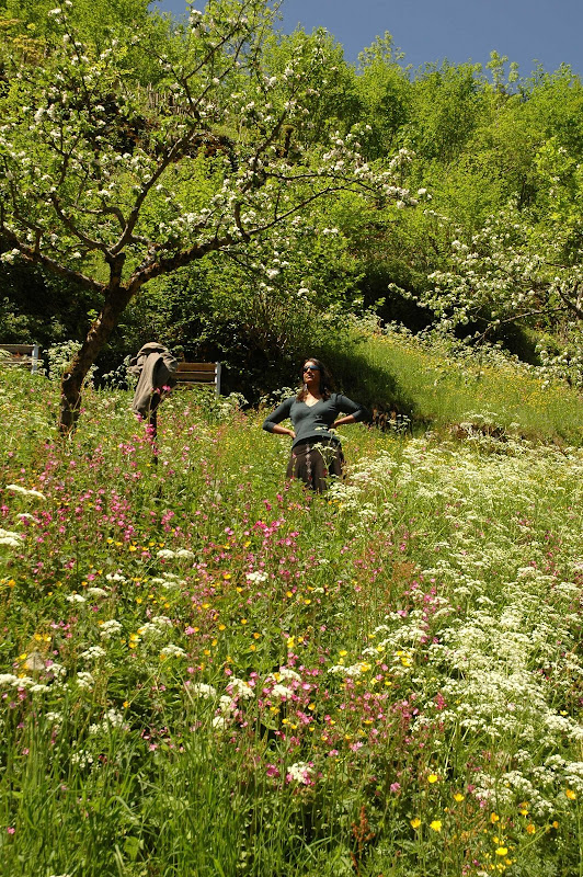 Let's go for a vacation - Saru and Vamsee's Travels: Heavenly Hallstatt