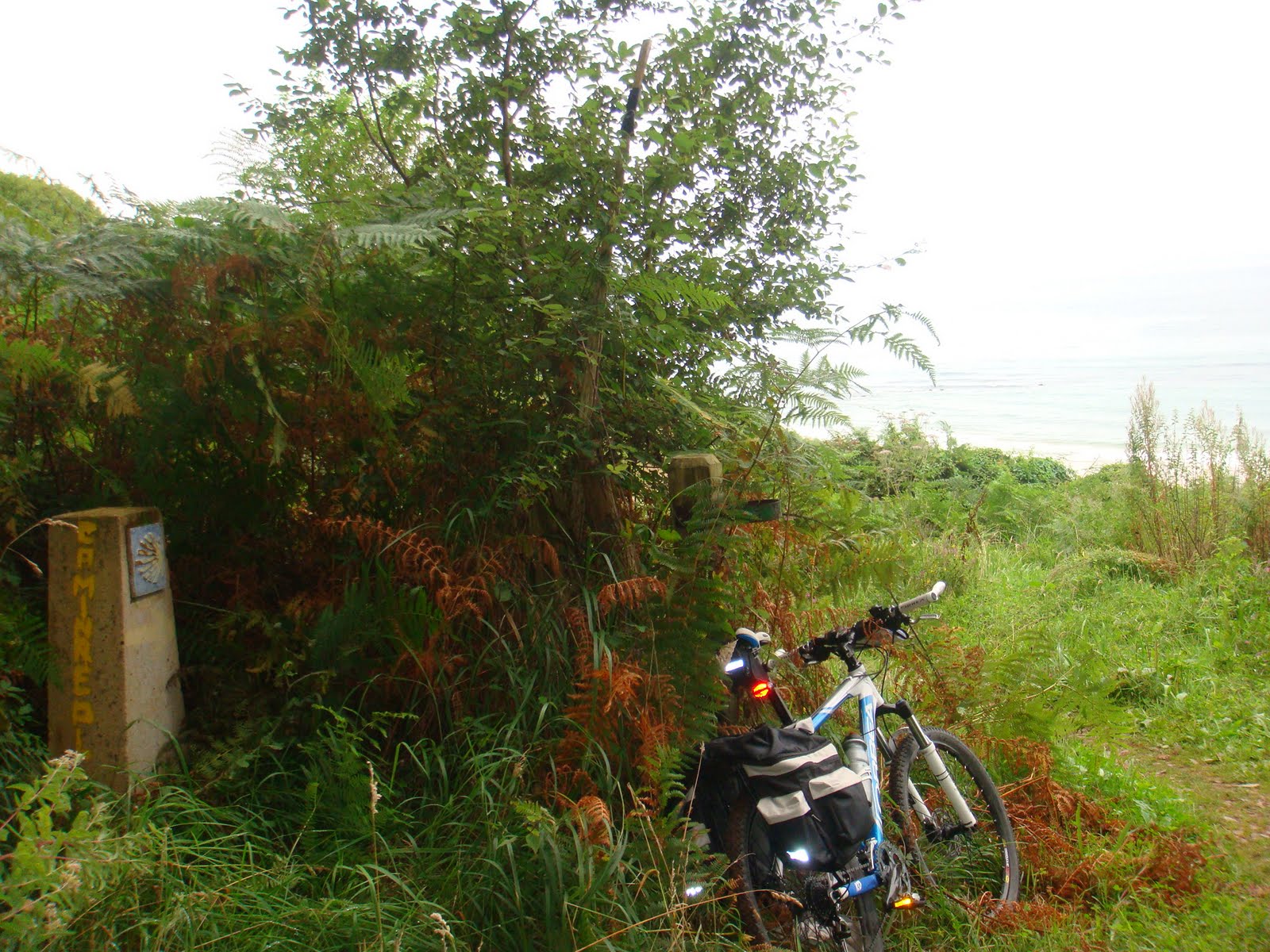 CAMINO DE SANTIAGO 2010 JUANRA: 3ª ETAPA: Ribadesella-Oviedo. (21-8-2010)