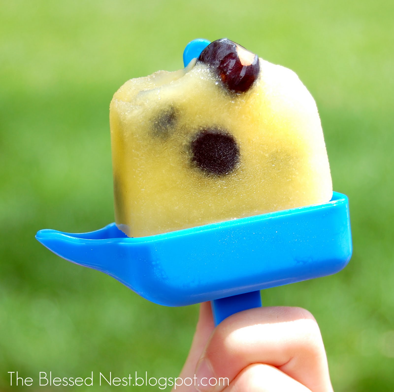 The Blessed Nest: A Favorite Summertime Treat