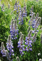 Life in the 307: Let's G.O. - First Time Fishing