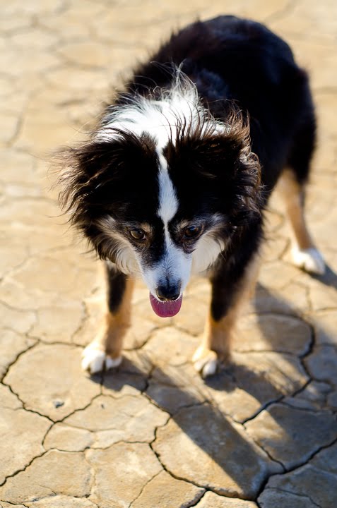 Scott and Angie's Blog: Alvord Desert Road Trip