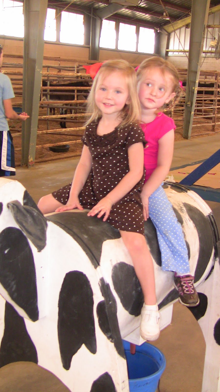 Ada Marie & Benjamin: More Fair: the 'Pretend Cow'