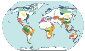 BOSQUE MIXTO: RELACIÓN BIOTOPO Y BIOCENOSIS.