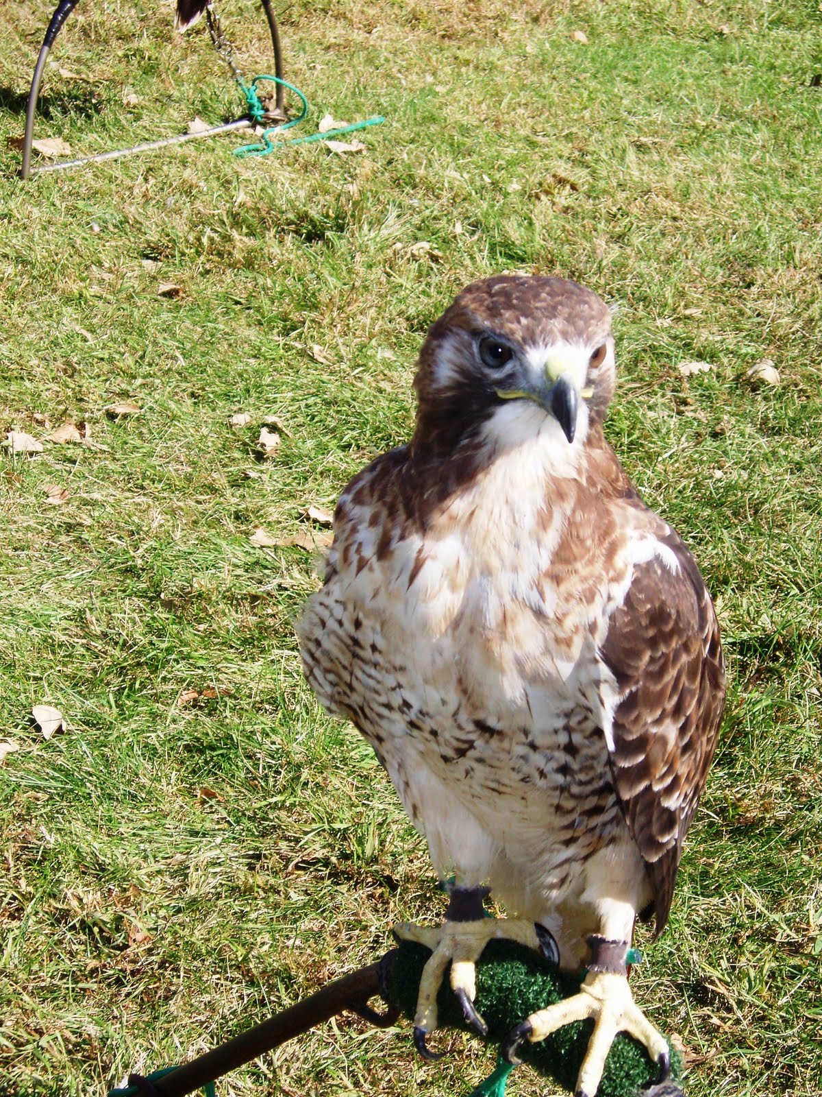 History and Culture by Bicycle: History and Culture by Bicycle Part 211 ...