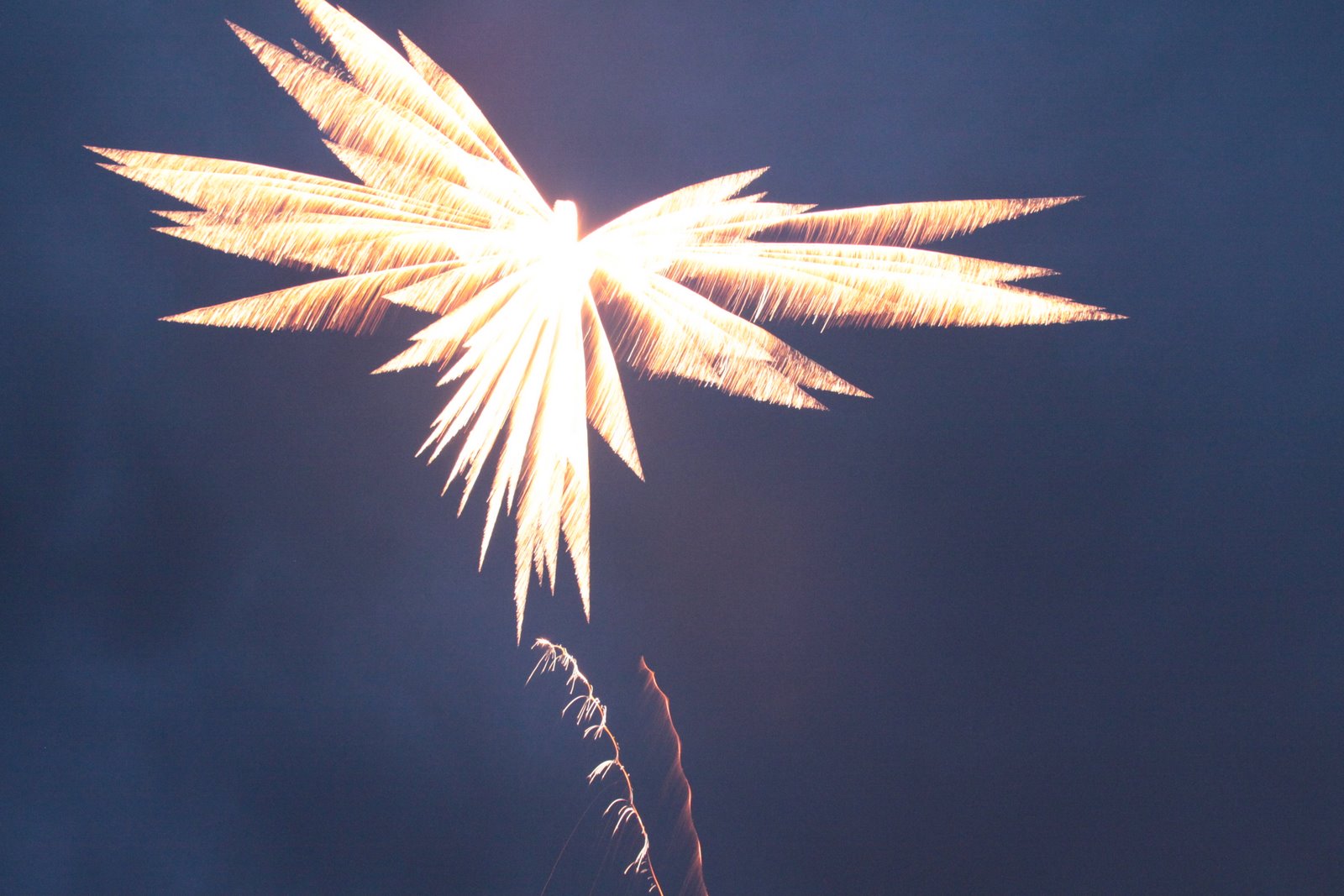 Turning Over a New Leaf: 4th of July Fireworks Angel