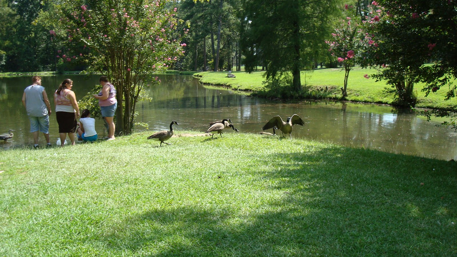 Wonders of Life: Visiting Berry College