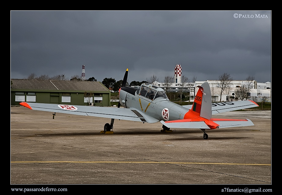 O FIEL AMIGO (M469 - 5PM/2011) ~ PÁSSARO DE FERRO