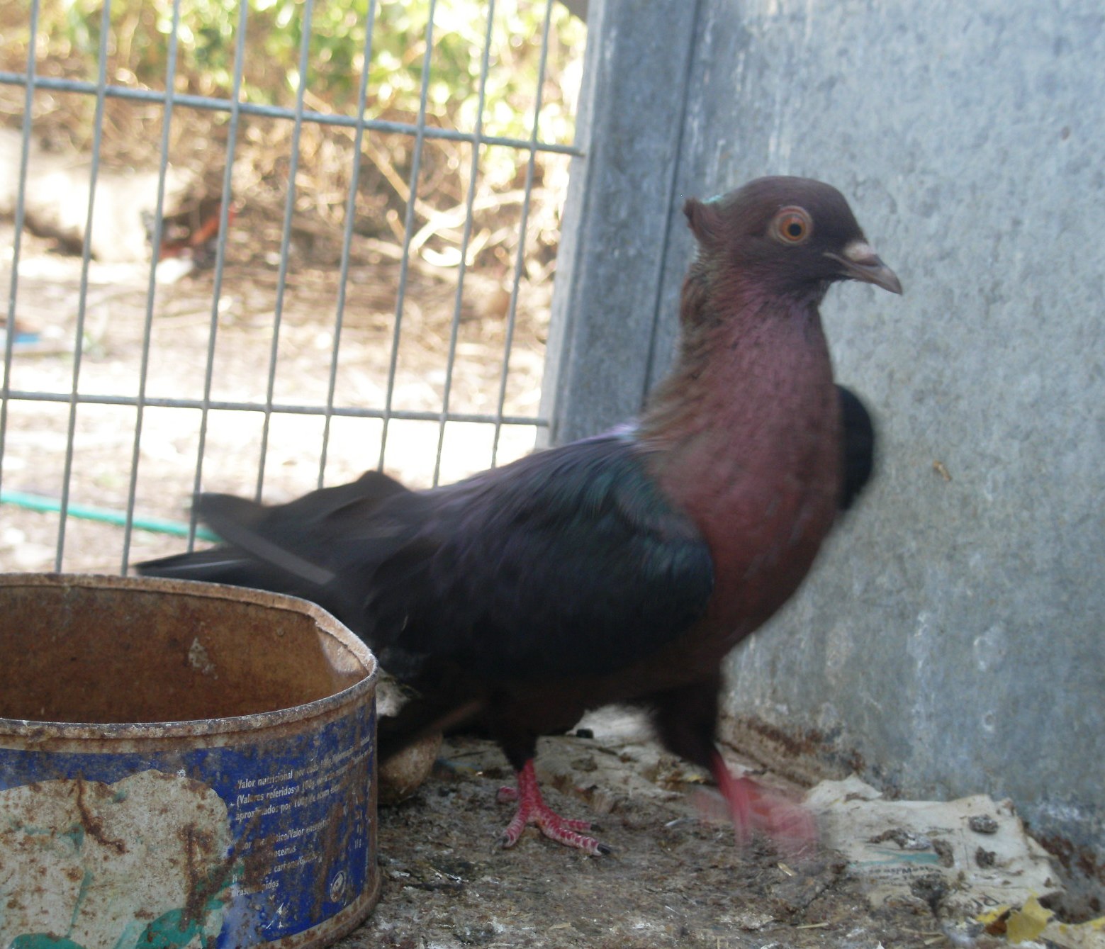 Finca Quercus: Venta y cambio