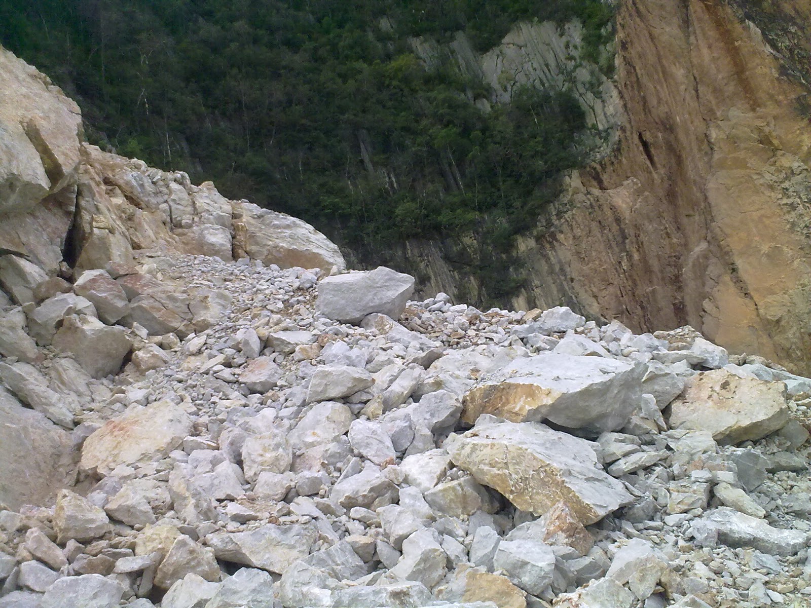 My First Week In CIMA Perlis | Ulat Didalam Batu