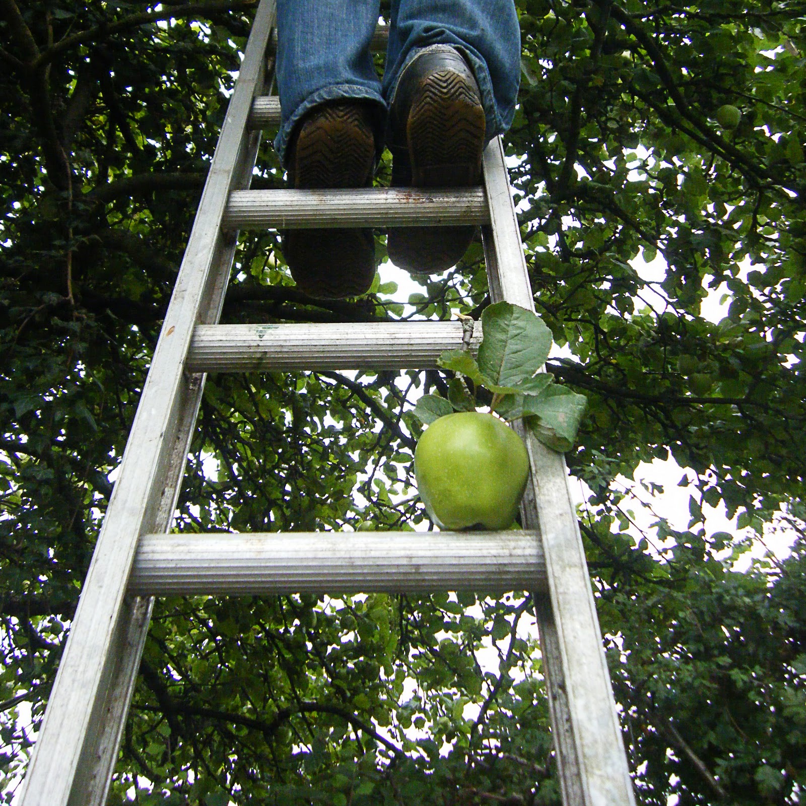 Symphony Photography: Assignment 1: You Take Control - Item & Location