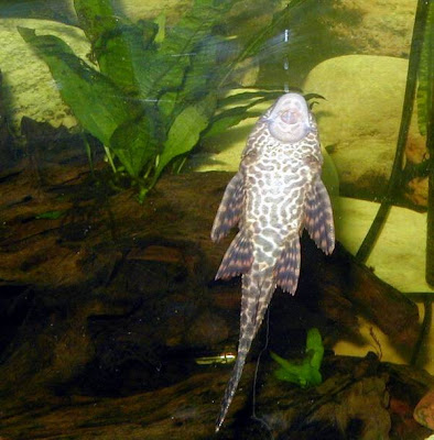 monkeybunkey_business: May 2007