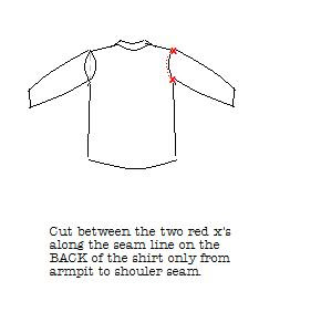 That's Simply Fine and Fancy: ASL /Homeschool Puppet