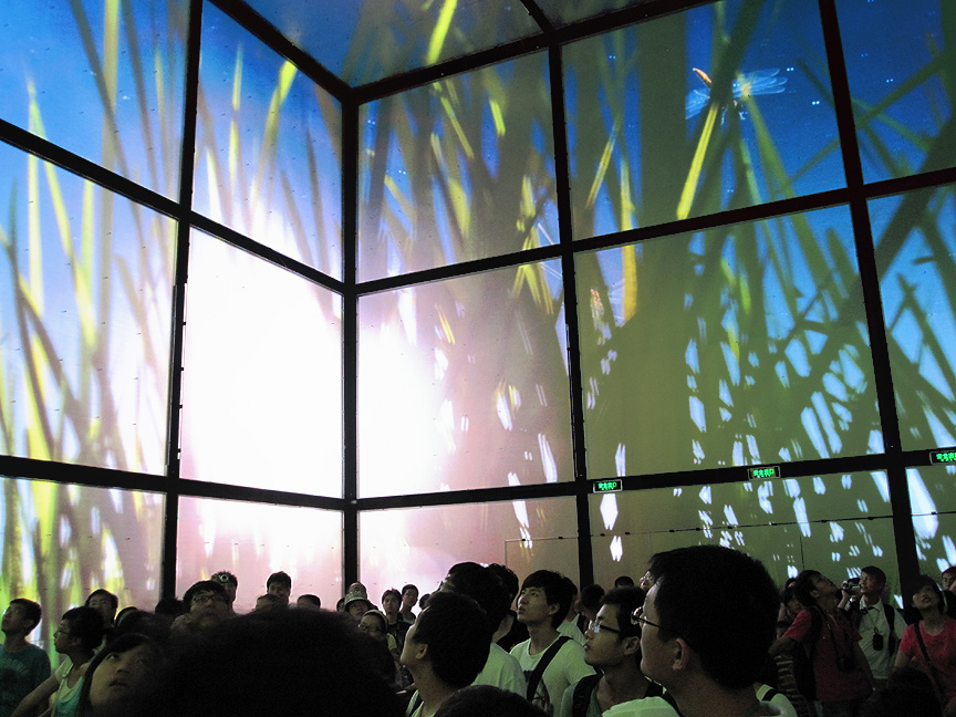 Woodland Shoppers Paradise: Shanghai World's Fair: Day 2