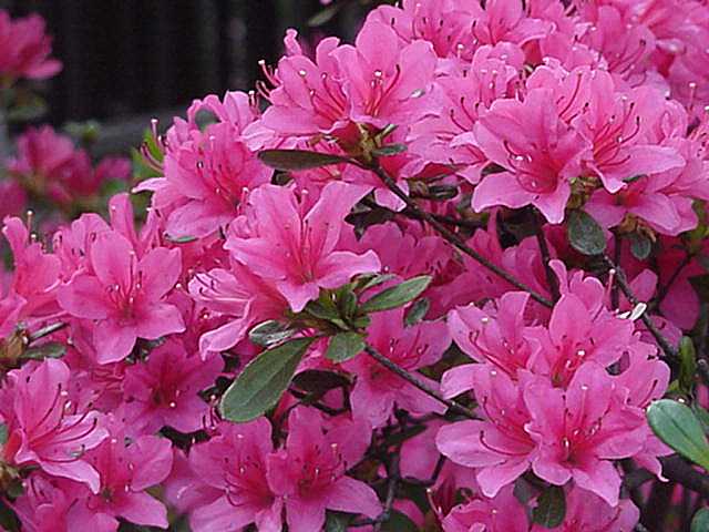 ENG102 @ LaGuardia Community College: Blog Entry 1.3 Poetry Symbolism ...