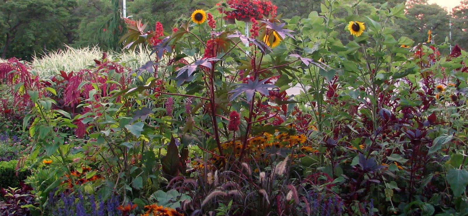 Montreal Simon: Me, Summer, and Stephen Harper's Ugly Canada