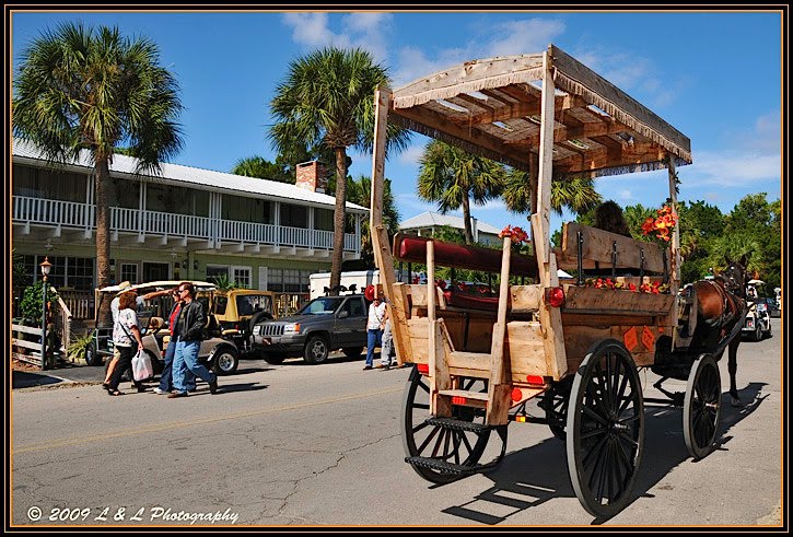 Cedar Key (Florida) Photos: Set IV - Scenes from the Seafood Festival